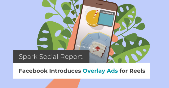 Facebook Introduces Overlay Ads for Reels - Spark Growth